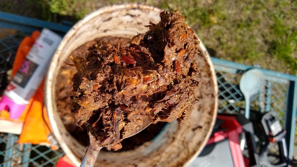 Free Tree Seeds - Garden - MakeICT