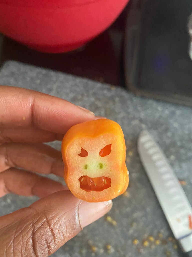 Angry tomato - Garden - MakeICT