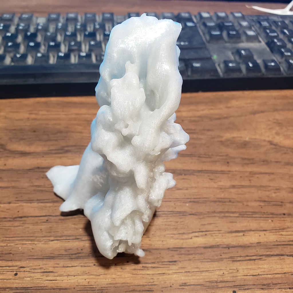 3d scan coral - What are you making? - MakeICT