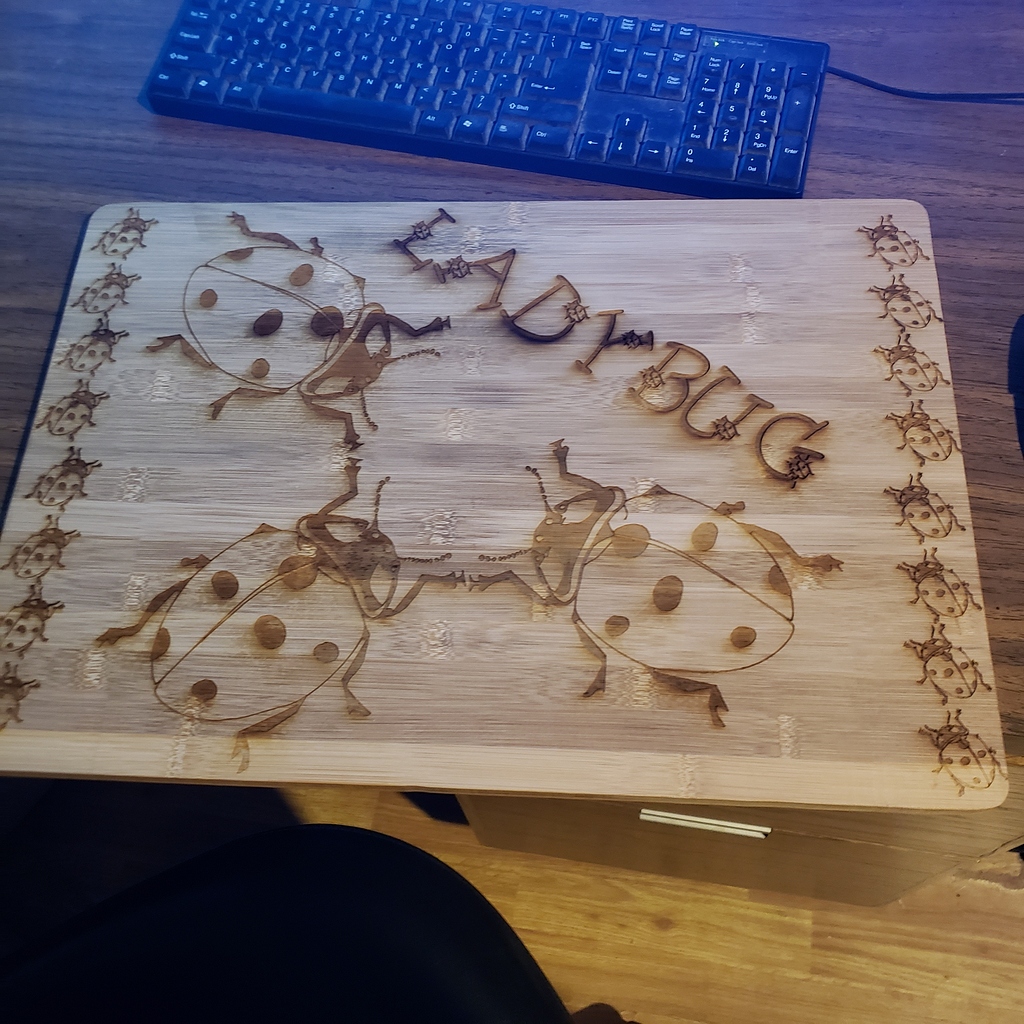 Ladybug cutting board - What are you making? - MakeICT