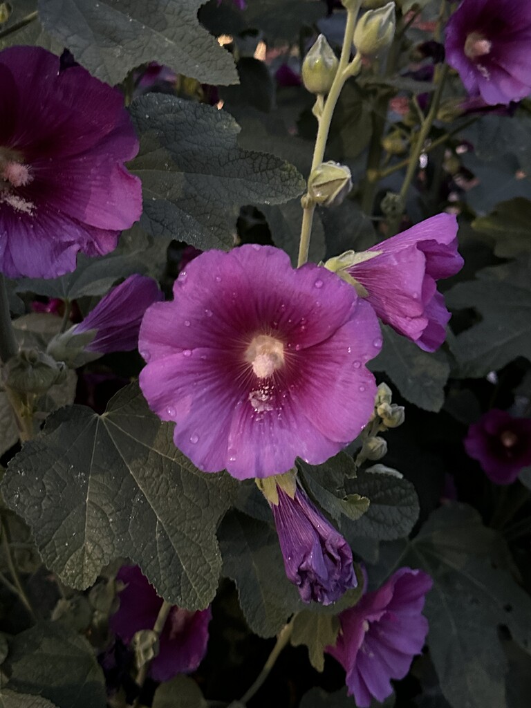 Make ICT Beauty - MakeICT