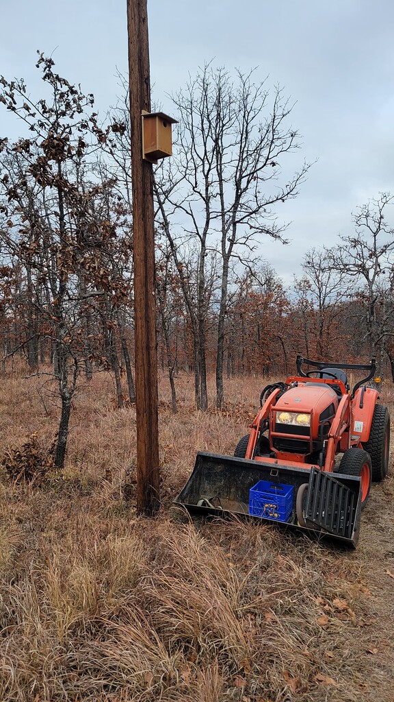 Owl and flycatcher houses up - What are you making? - MakeICT