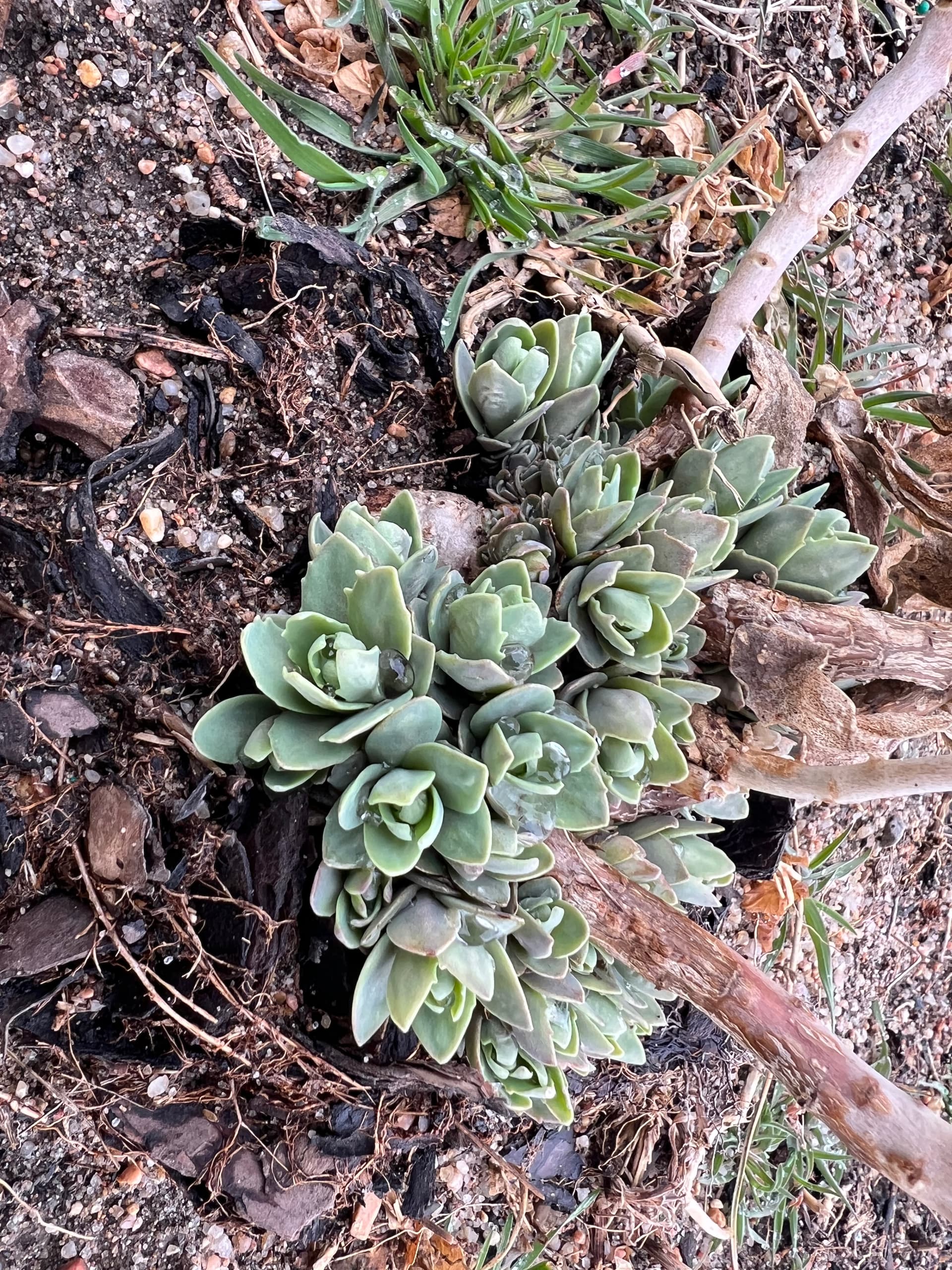 Spring is near! - MakeICT