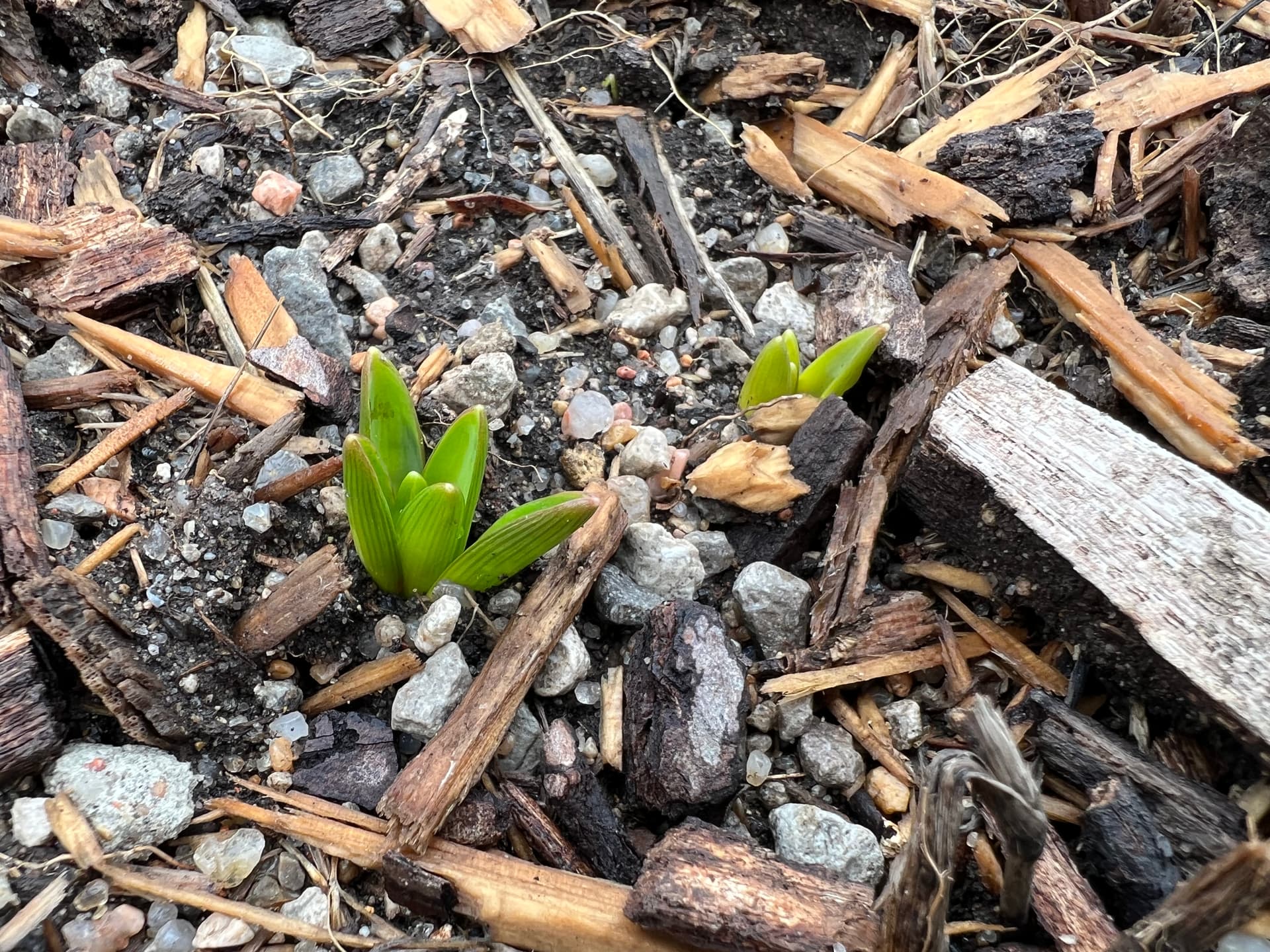 Spring is near! - MakeICT